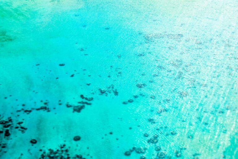 Rarotonga & the Cook Islands Weather, Seasons & Climate + Weather by Month