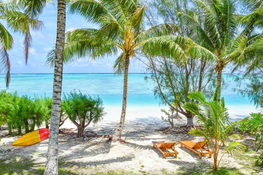 10 Ways to Avoid & Treat Mosquito Bites in Rarotonga & the Cook Islands