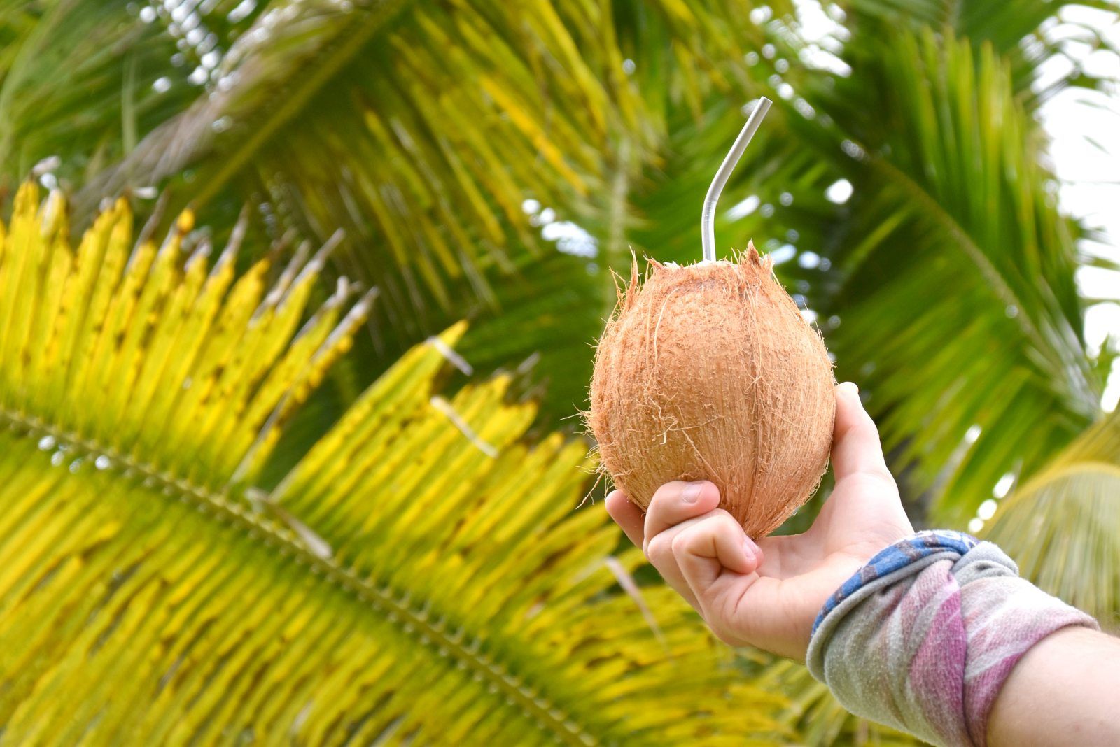 15 Rarotongan Words You Need to Know When Visiting the Cook Islands