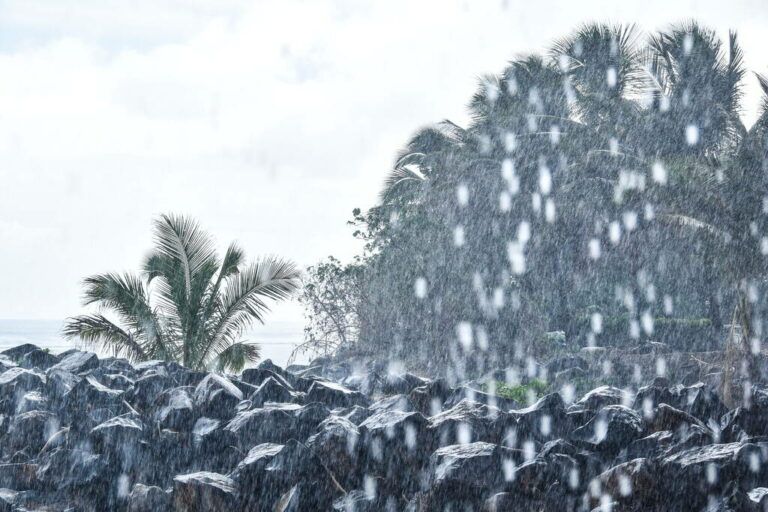 Rarotonga & the Cook Islands Weather, Seasons & Climate + Weather by Month