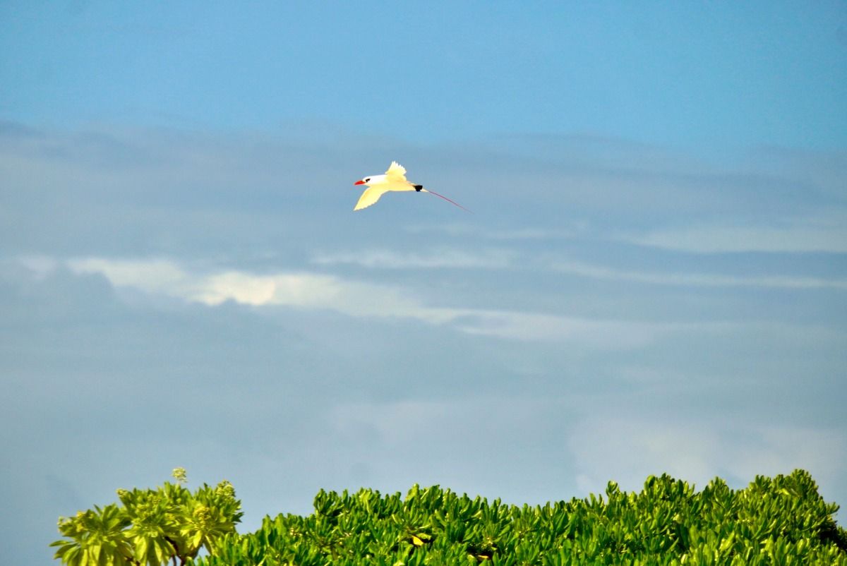 What are the 15 Islands in the Cook Islands? - Cook Islands Pocket Guide