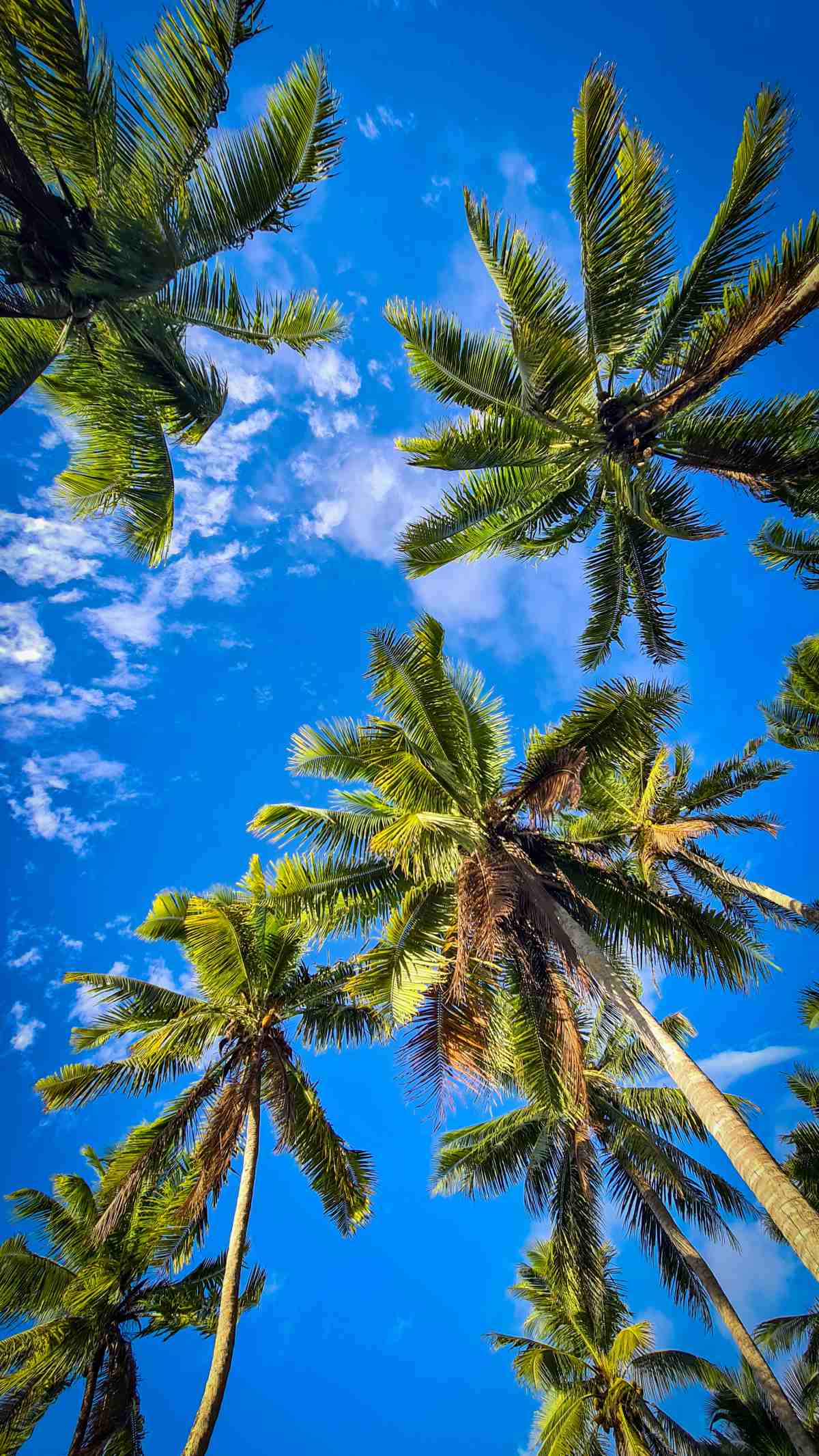 15 Best Things to Do on Mauke - Cook Islands Pocket Guide