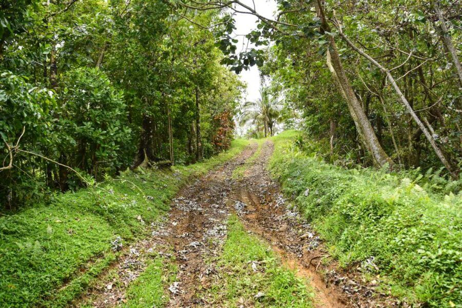 6 Best Off-Road Tours in Rarotonga & the Cook Islands - Cook Islands ...