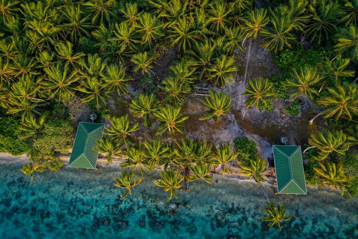 The Complete Travel Guide to the Northern Cook Islands 🏝️ - Cook ...