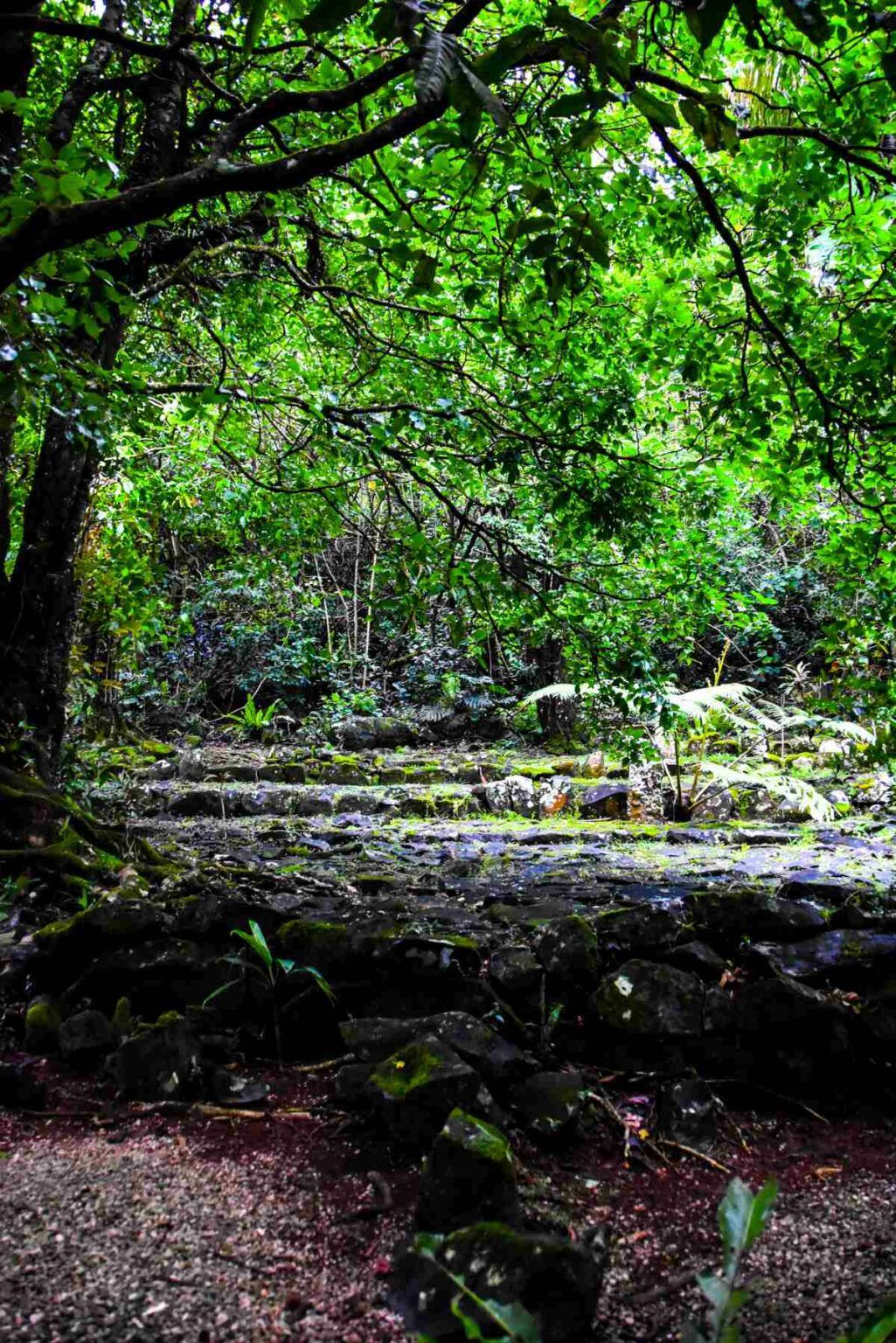 10 Best Historical Sites on Rarotonga - Cook Islands Pocket Guide