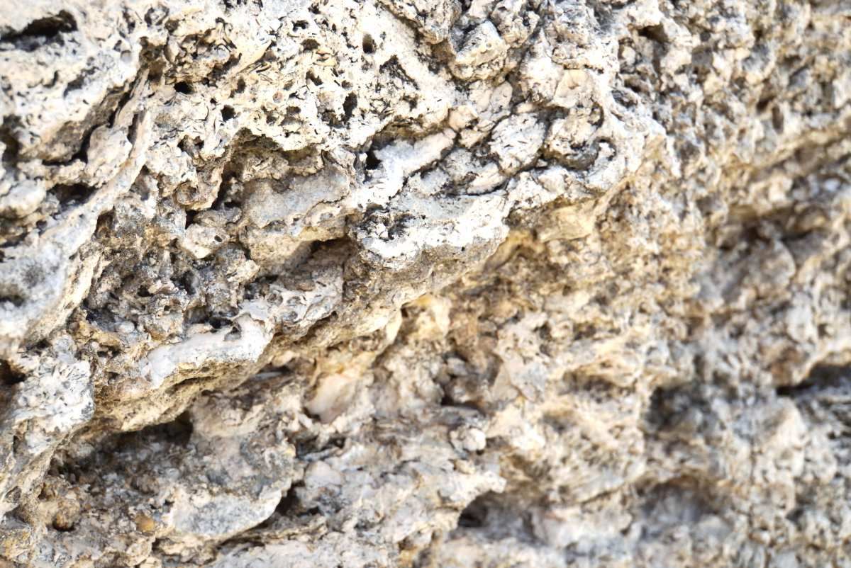 5 Best Caves on Mitiaro - Cook Islands Pocket Guide