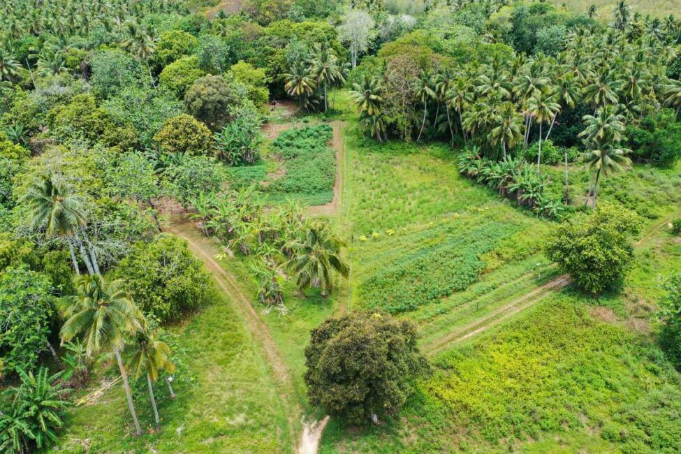 15 Best Things to Do on Mitiaro - Cook Islands Pocket Guide