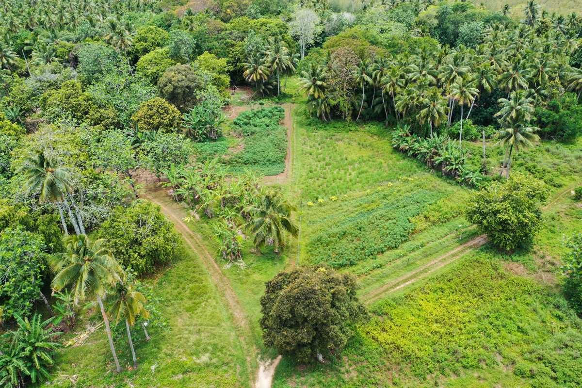 15 Best Things to Do on Mitiaro - Cook Islands Pocket Guide