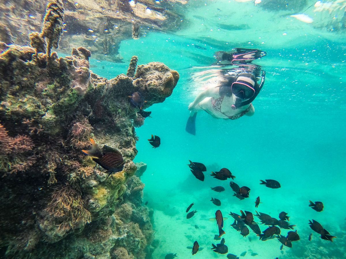 The Best Snorkelling in Rarotonga: Top 7 Places to Snorkel