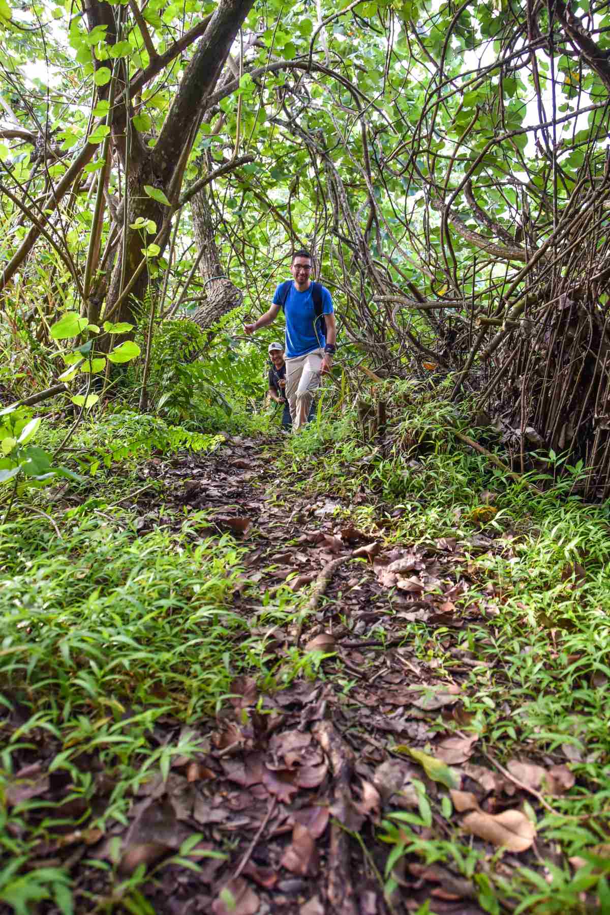 10 Best Walks on Rarotonga in 2025