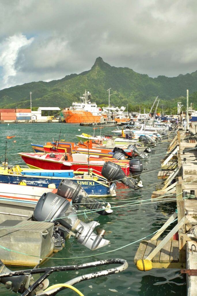 The Ultimate Guide to Fishing in Rarotonga & the Cook Islands