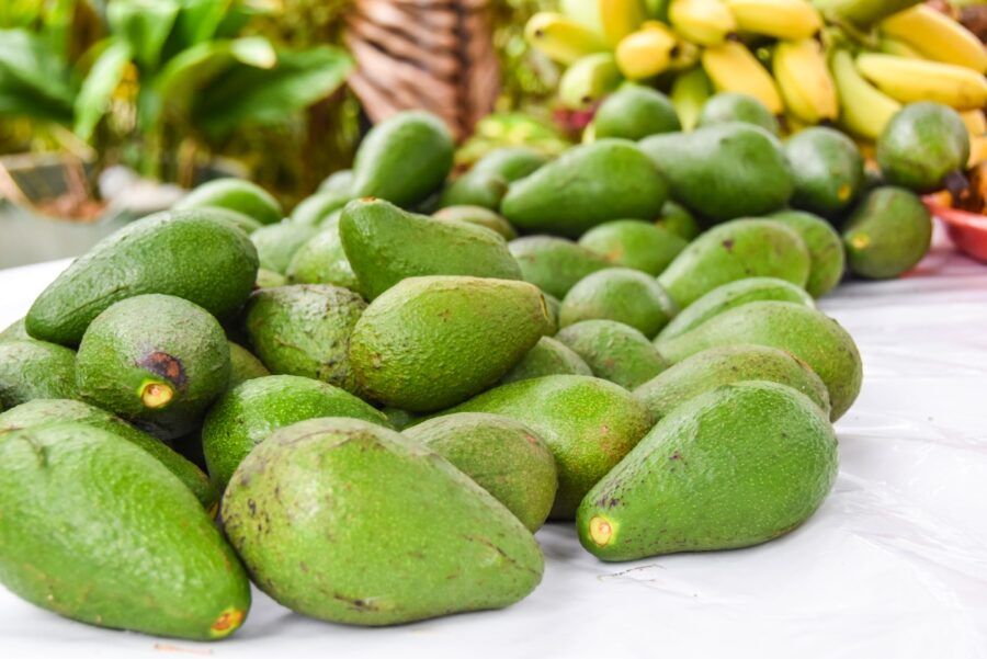 15 Exotic Fruits in Rarotonga & the Cook Islands You HAVE to Try!