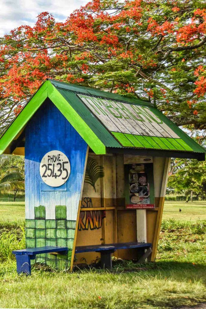 The Bus on Rarotonga: Bus Fares, Timetable & More 2025