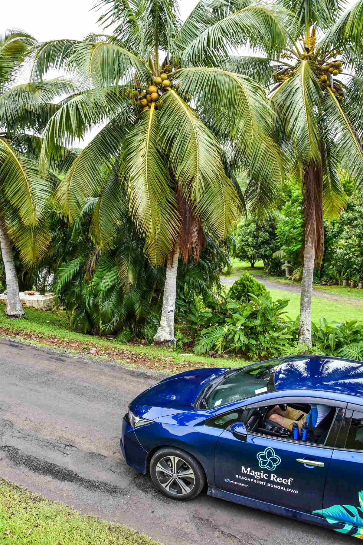How to Drive in Rarotonga & the Cook Islands + 10 Road Rules ⛔