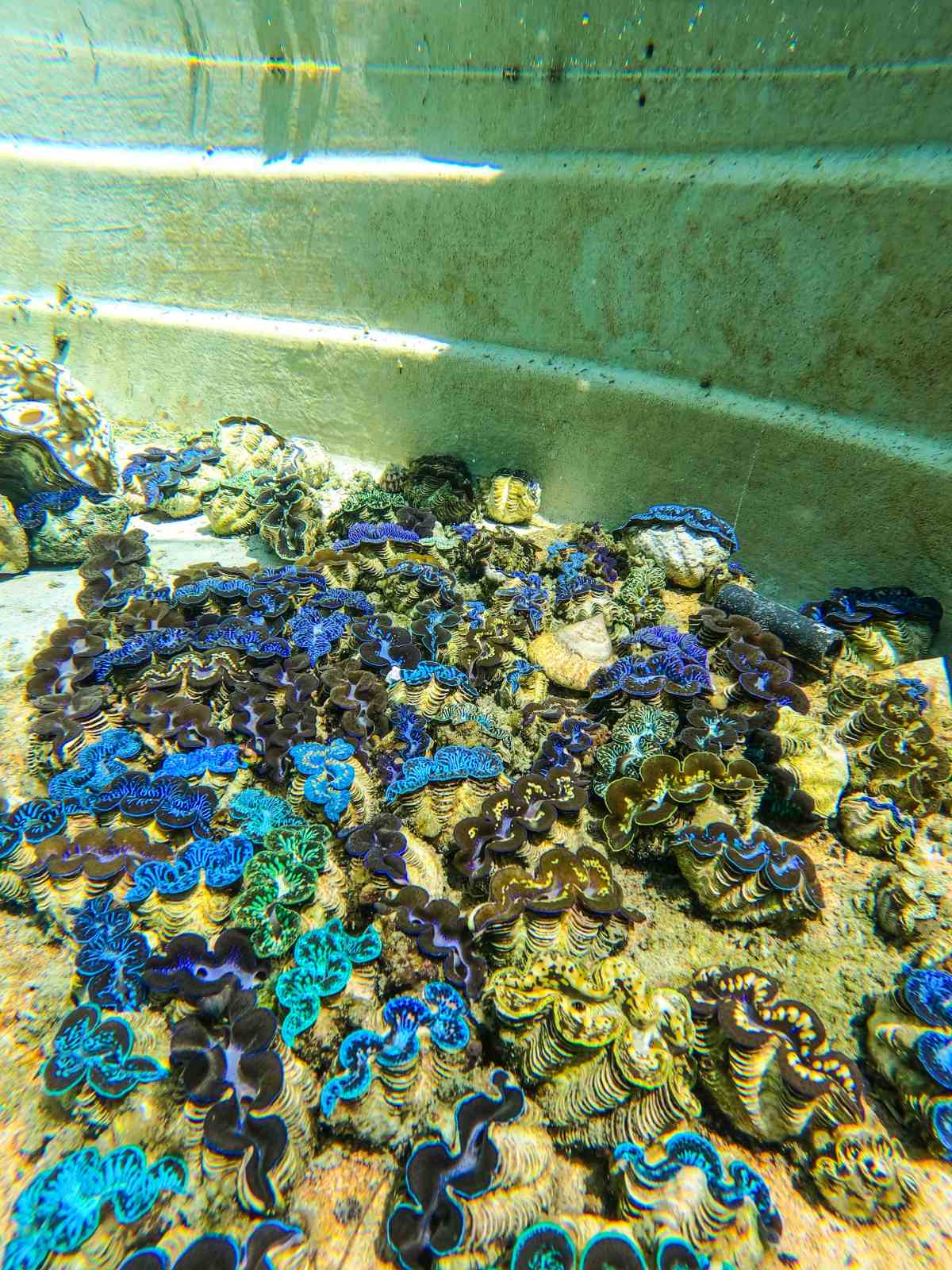 20 Things to Do in the Cook Islands on a Rainy Day 🌧️ 2025