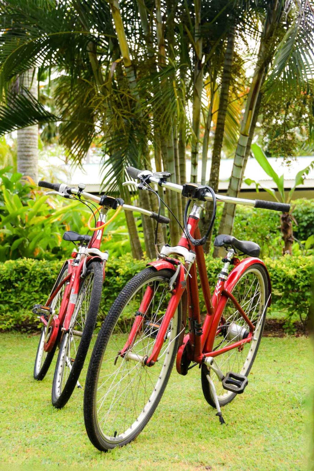 The Guide to Cycling & Mountain Biking in Rarotonga & the Cook Islands