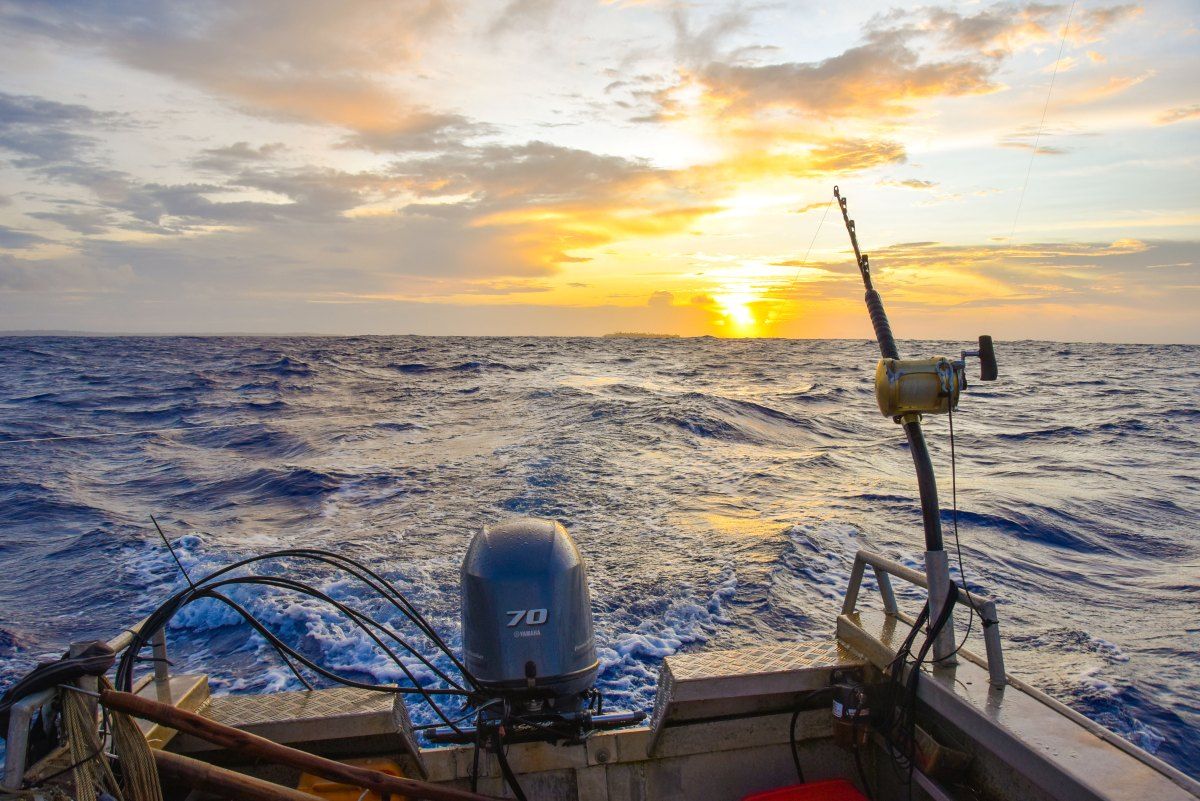The Ultimate Guide to Fishing in Rarotonga & the Cook Islands