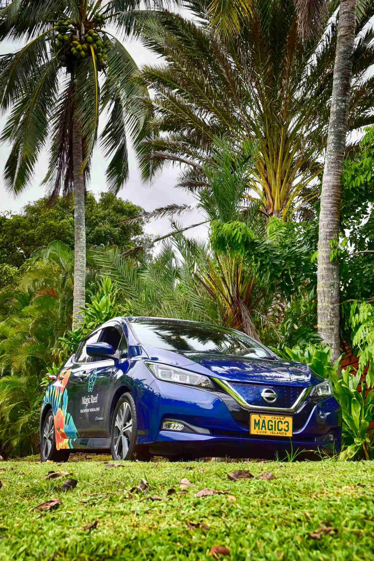9 Best Car Rentals in Rarotonga: The Top Car Rental Companies [2026]