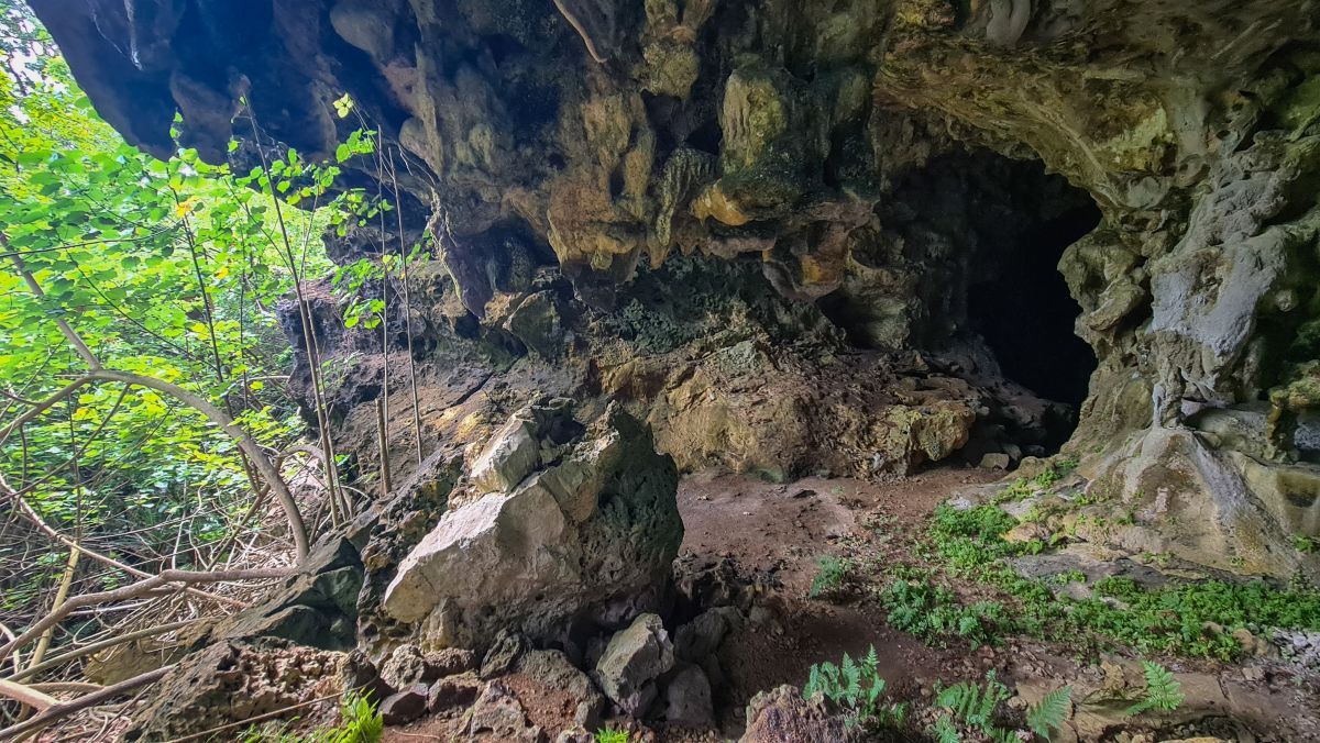 101 Best Things to Do in the Cook Islands: The Ultimate List [2025]