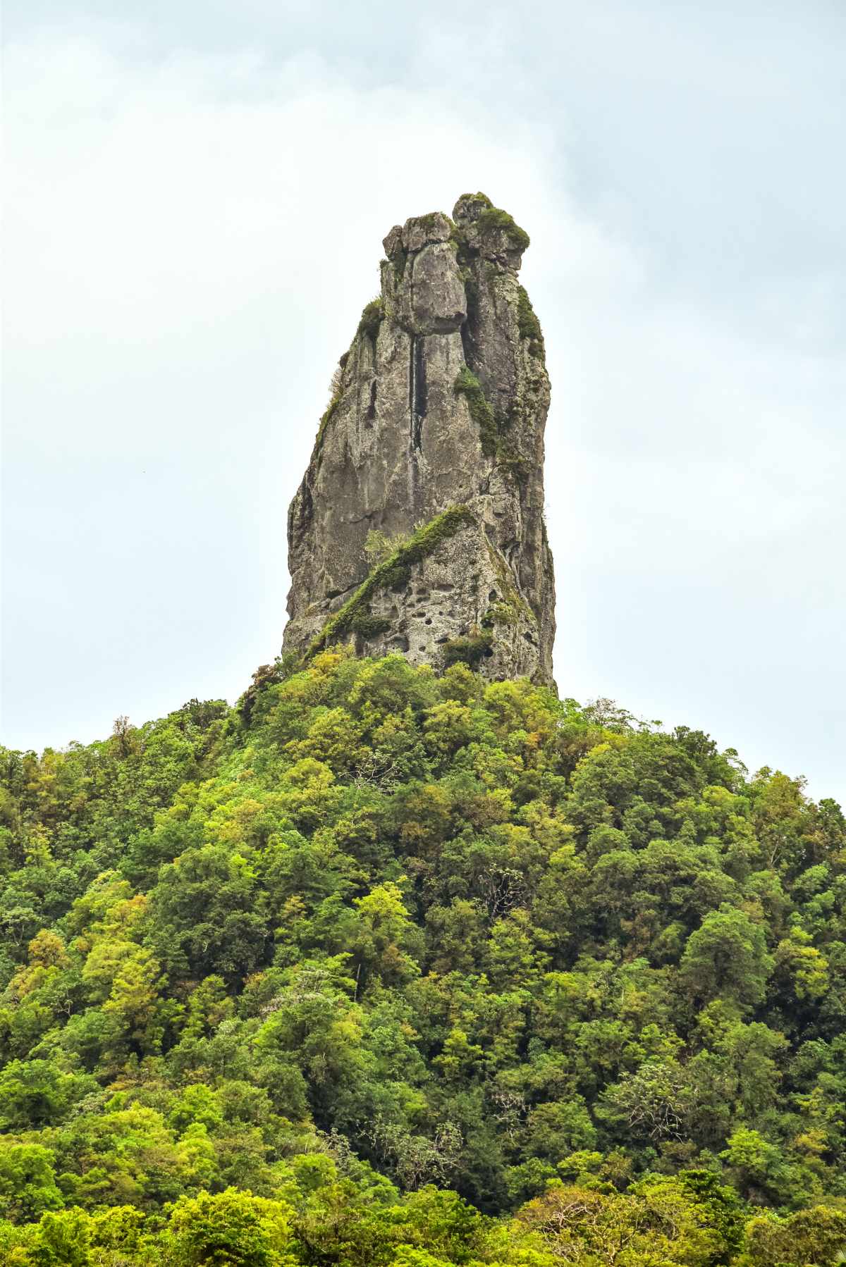 10 Best Walks on Rarotonga in 2026