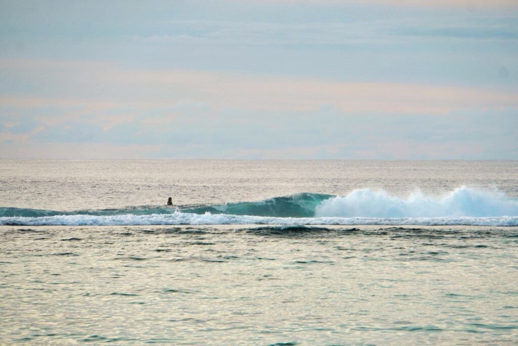 The Ultimate Guide to Surfing in Rarotonga & the Cook Islands