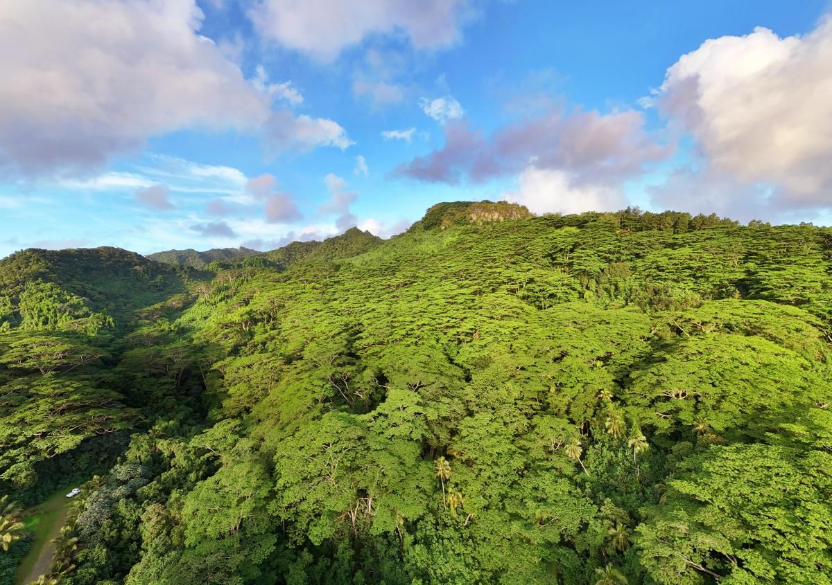 10 Best Places to Watch the Sunset in Rarotonga & the Cook Islands