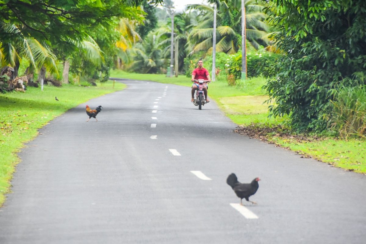 10 Tips for Riding a Scooter in Rarotonga & the Cook Islands