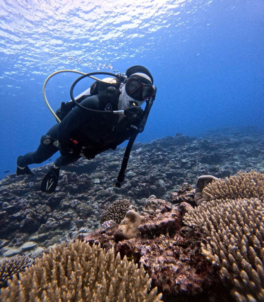 The Best Time to Dive in Rarotonga & the Cook Islands