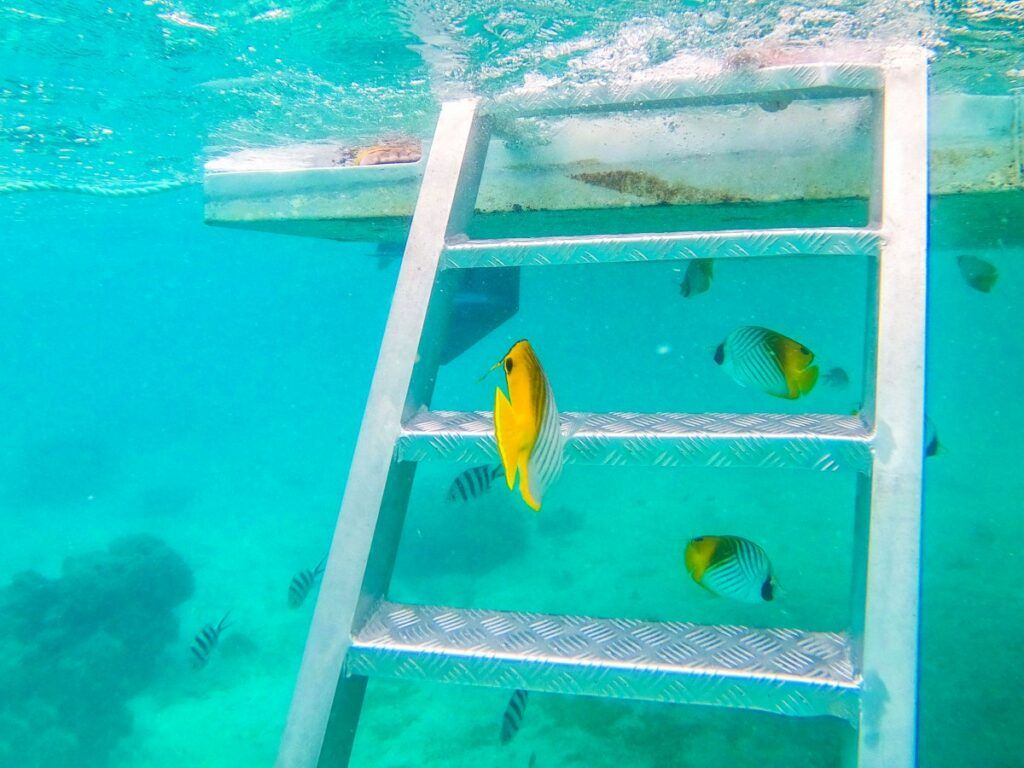 10 Best Boat & Sailing Tours in Rarotonga & the Cook Islands