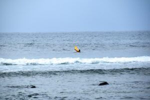 9 Best Places to Surf in Rarotonga & the Cook Islands 🌊