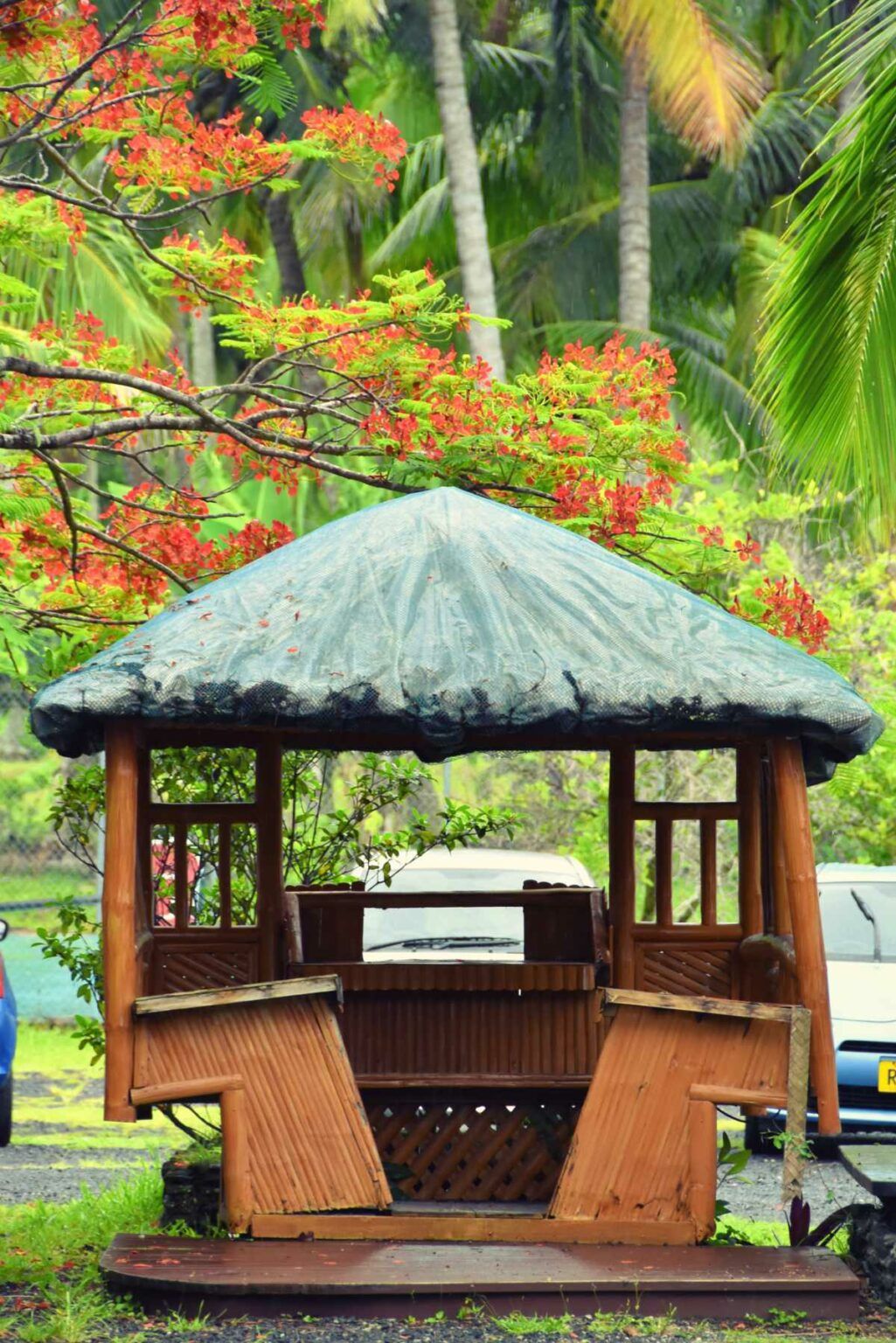 The Bus on Rarotonga: Bus Fares, Timetable & More 2025
