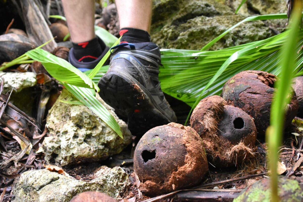 10 Best Walks on Rarotonga in 2026