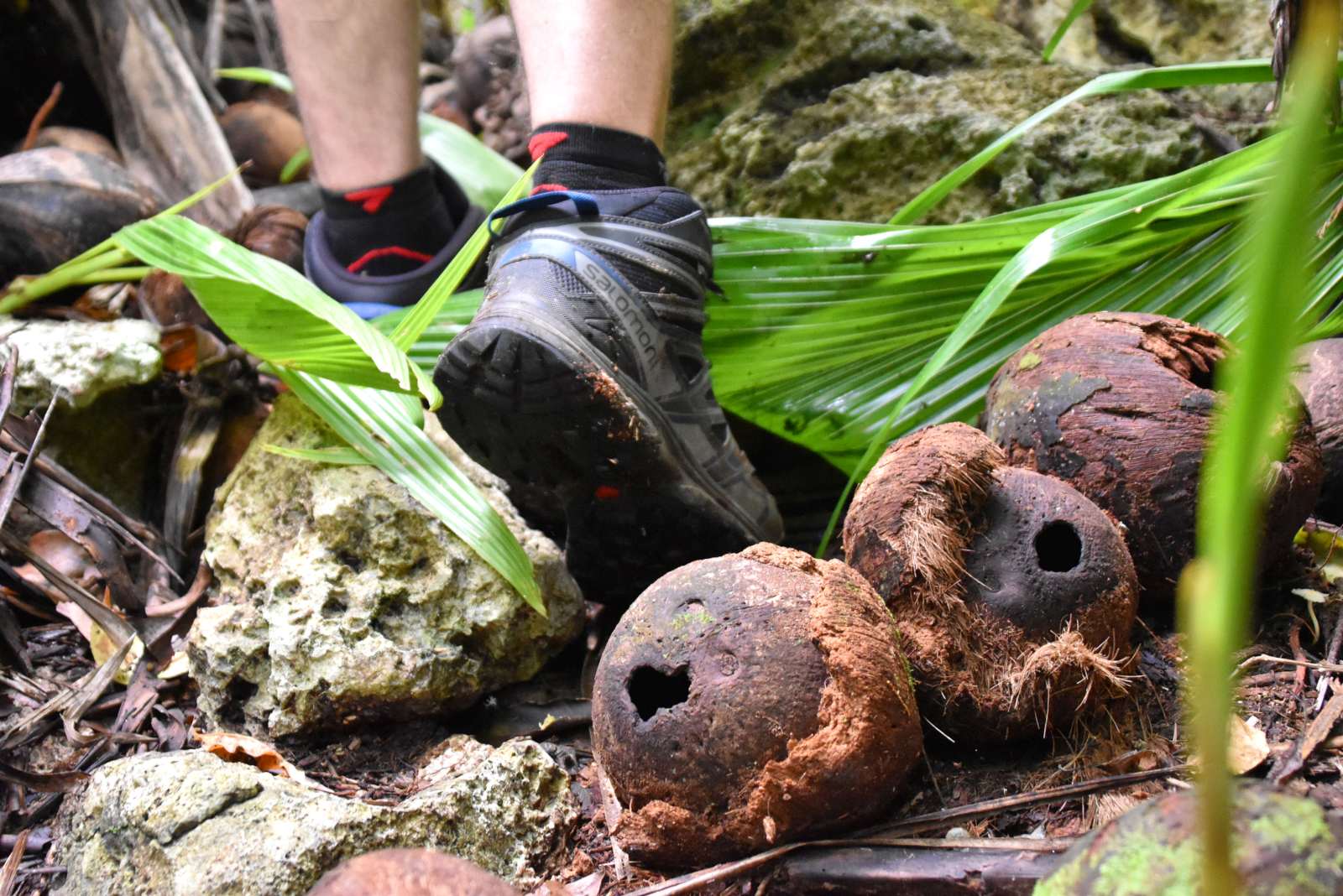 10 Best Walks on Rarotonga in 2025