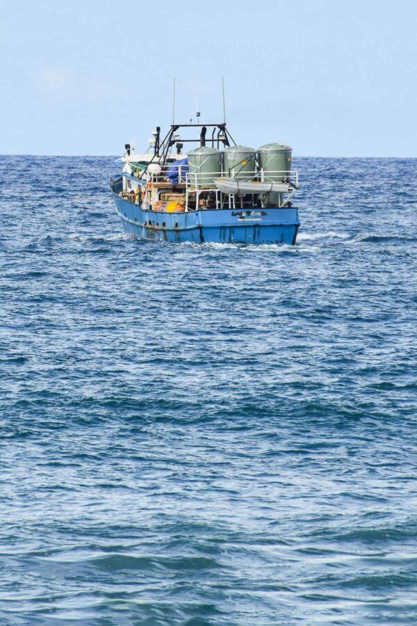 Cook Islands Cargo Ship Guide: How to Use the Ferry for Interisland Travel