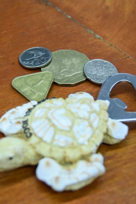 What is the Currency of the Cook Islands? 💵