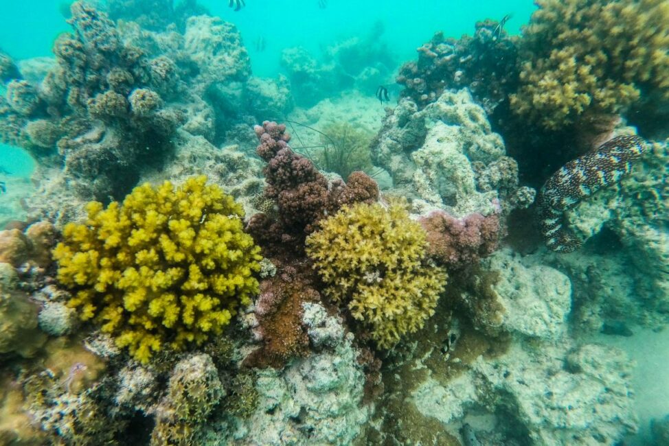 Cook Islands Safety Tips: Is it Safe to Travel to Rarotonga & the Cook ...