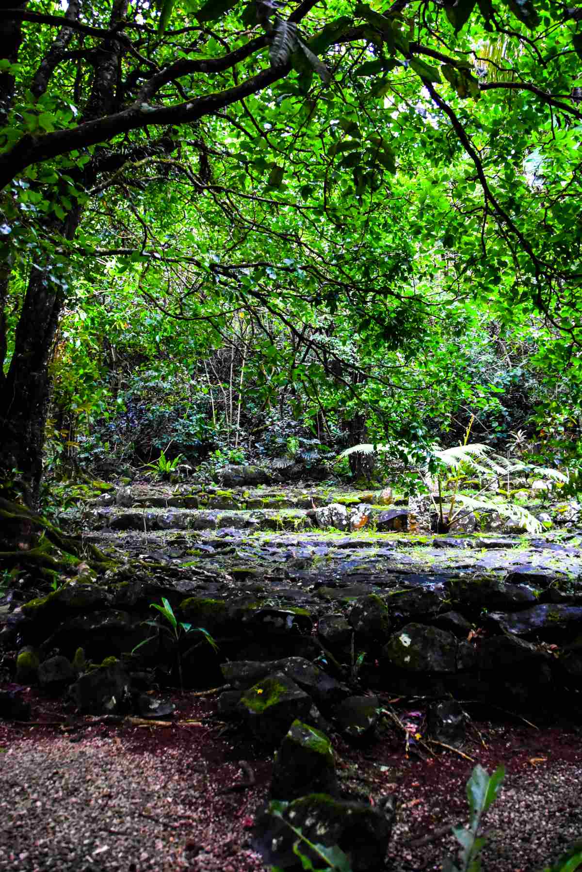 A Brief History of Rarotonga & the Cook Islands - Cook Islands Pocket Guide