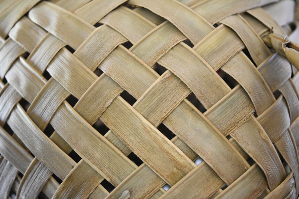 What to Declare When Arriving in Rarotonga & the Cook Islands - Cook ...