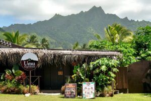 14 Best Cultural Shows in Rarotonga & the Cook Islands